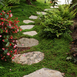 Importance of Circulation in an Outdoor Space | The Farm and Garden Station